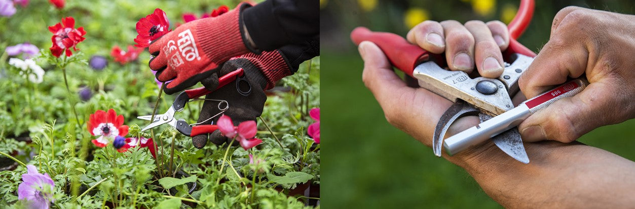 75 Years of Timeless Swiss Expertise: Your Guide to Felco Hand Pruners ...