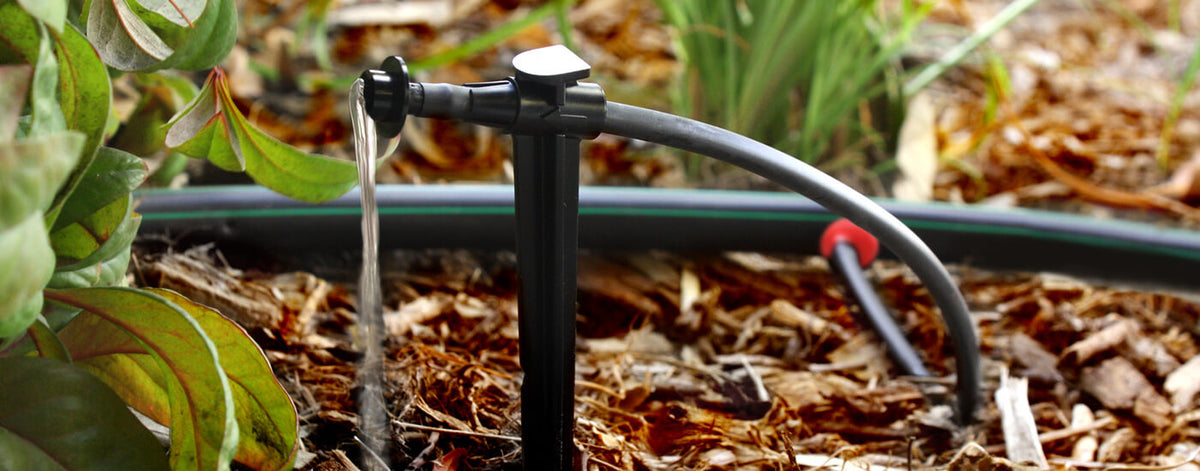 Anatomy of Rain Bird Landscape Drip Systems — Big Frog Supply