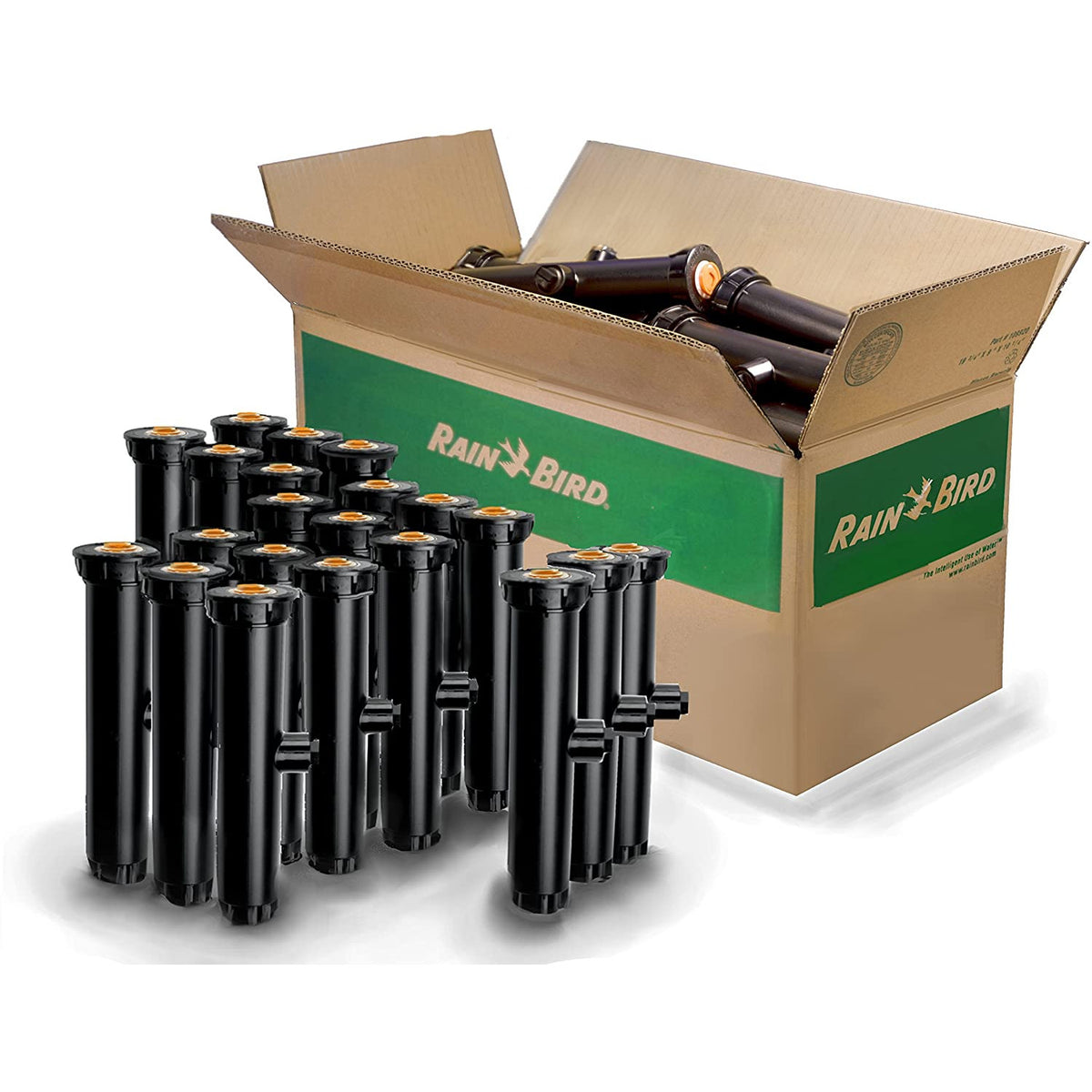 Rain Bird - 1806-50PK - 1800 Series 6" Spray Head PSI NO Nozzles (50 P ...